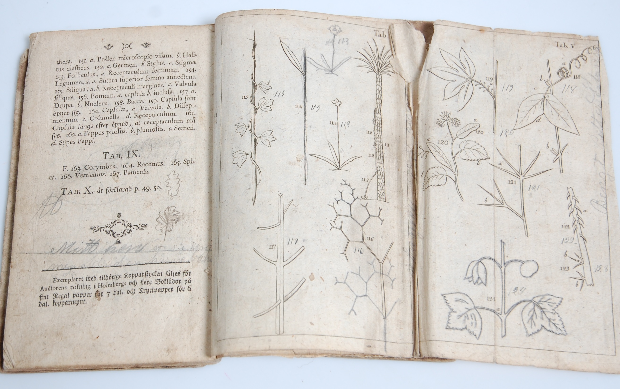 Images for 495027. BOOK, Botany 18th century "Introduction to nature's ...
