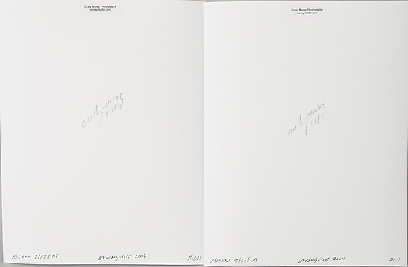 CRAIG MOREY. "Helena", 2 fotografier, diptyk, signerade. Konst ...